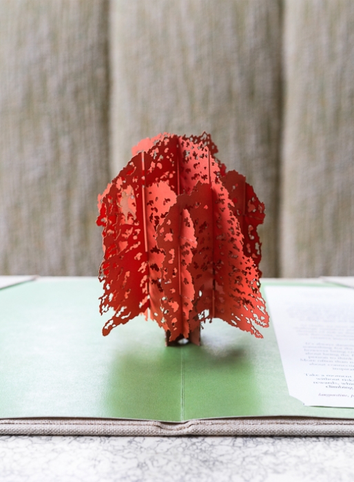 What we do - Paper Engine